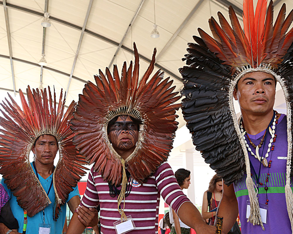 Crônicas Indigenistas: CONFERÊNCIA DA AYAHUASCA: um outro olhar...