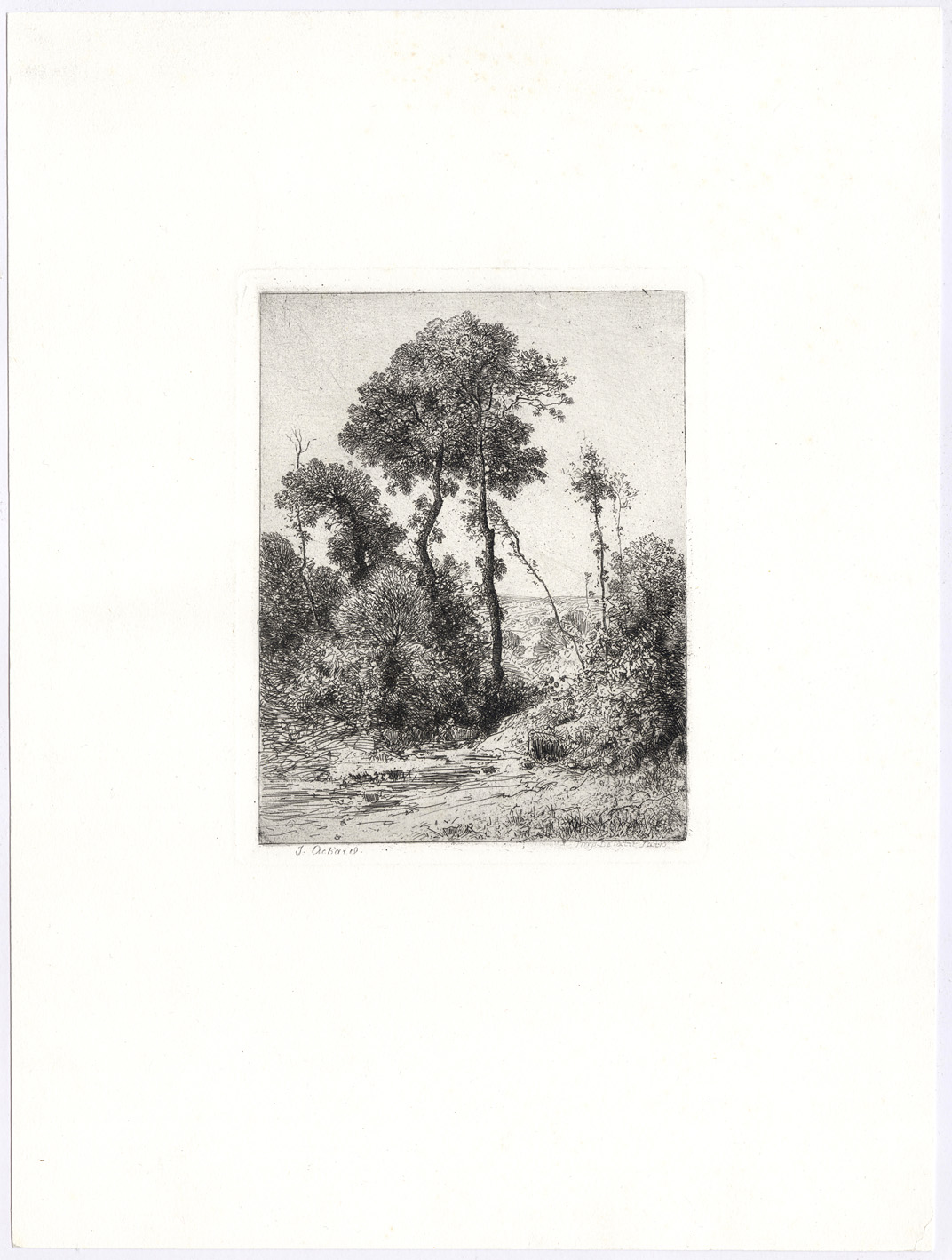 Prints and Principles: Jean-Alexis Achard’s etching, “Grands Arbres”, 1867