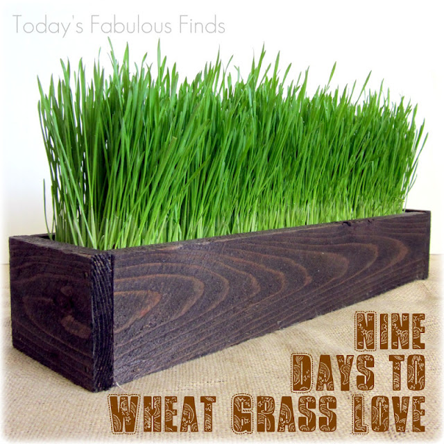 Today's Fabulous Finds: Rustic Wood Planter--Watch with me as the ...