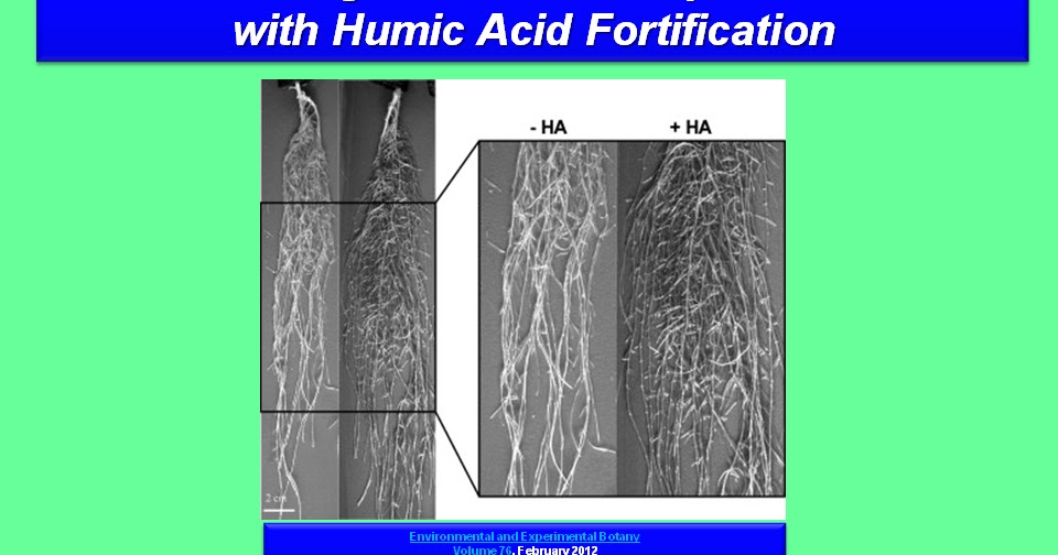 Humic Acids and Root Development