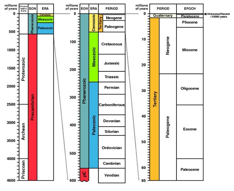 TÜRKÇE JEOLOJİ BİLGİ SAYFASI: f-)Stratigrafi Sınıflama Prensibleri
