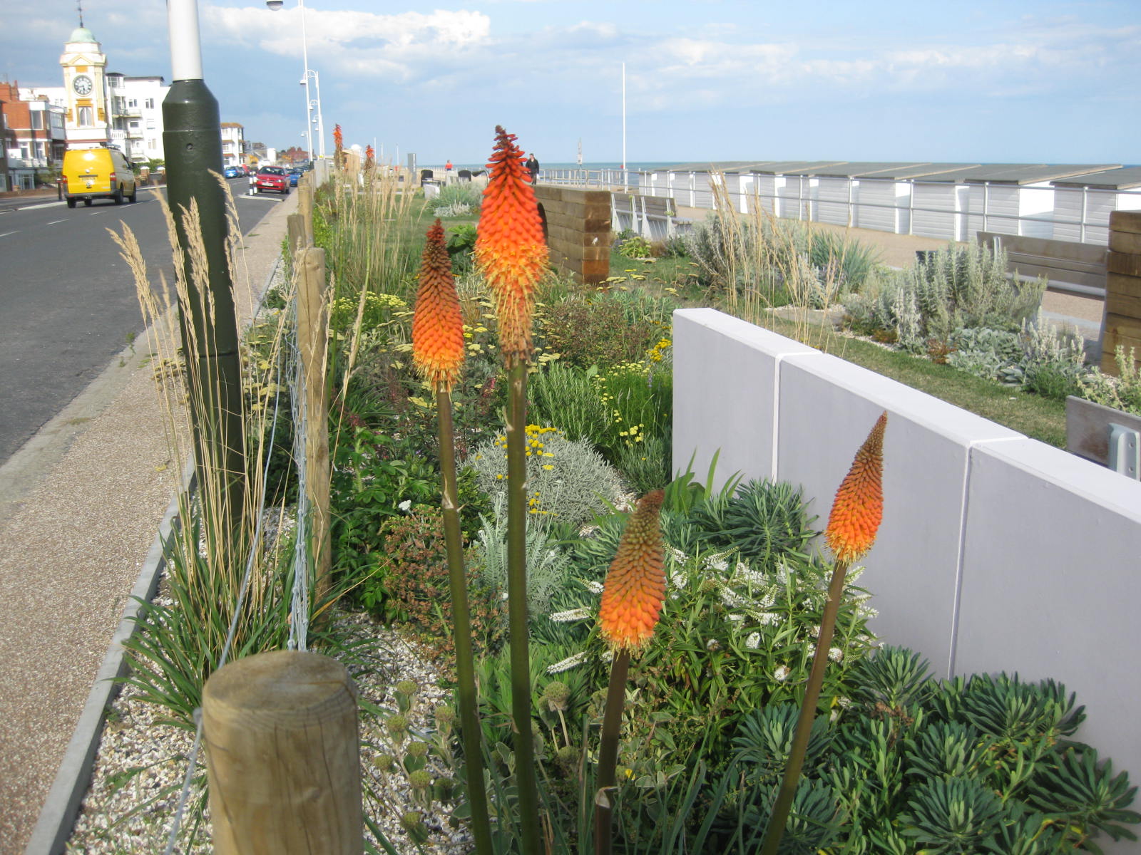 HTA Landscape Design: Next Wave Planting Lists Published - come on you ...