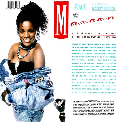 The Soul Vendor: Maxeen - Is It Meant To Feel This Way 1988