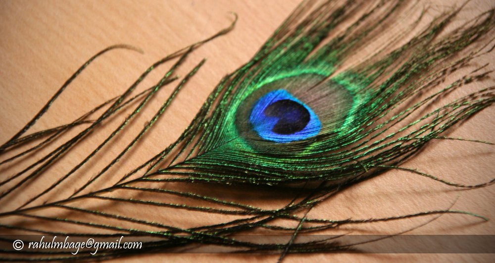 काही मनातले © 2011 Priya Satpute All Rights Reserved: August 2013