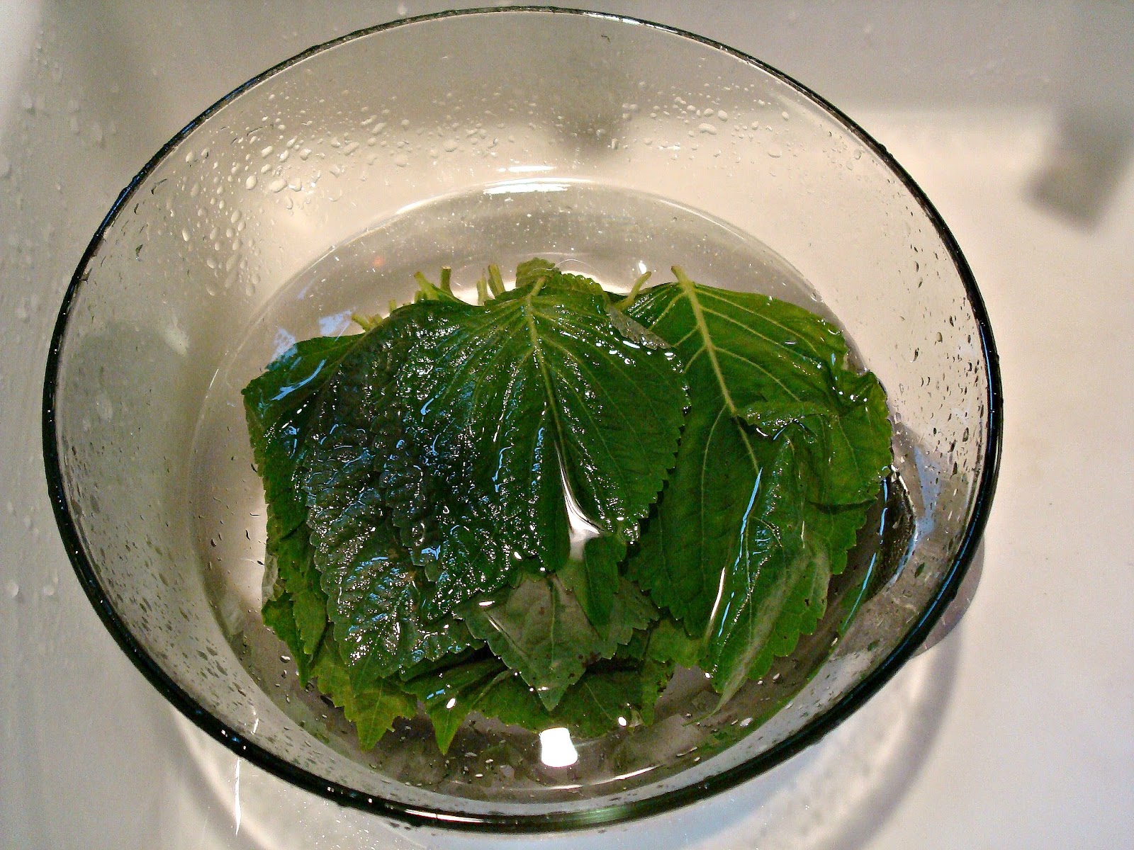 Perilla Leaves Salad