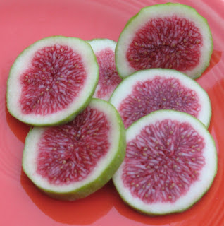 Paradiso Bronze Fig - Var Tin