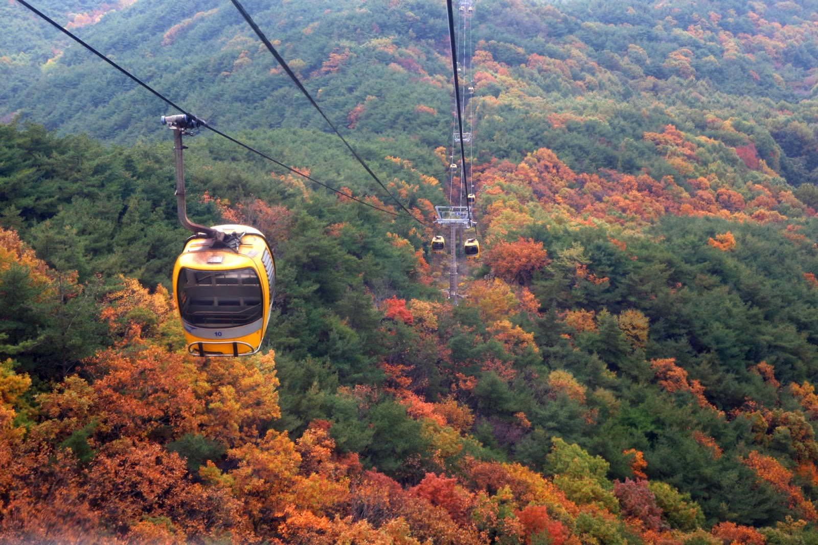 Fun & Free Daegu Travel: Best Spots in Daegu to Watch the First Sunrise ...