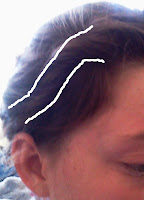 To Count the Stars: Seni Crines