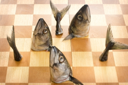 chessblog.com - Alexandra Kosteniuk's Chess Blog