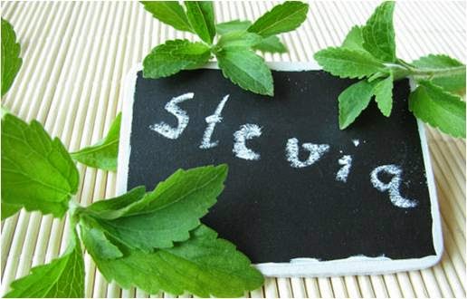 Alimentación saludable: ¿Qué es la stevia , propiedades y cultivo?