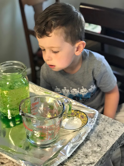 Lyndi's Projects: Lava Lamp Science Experiment