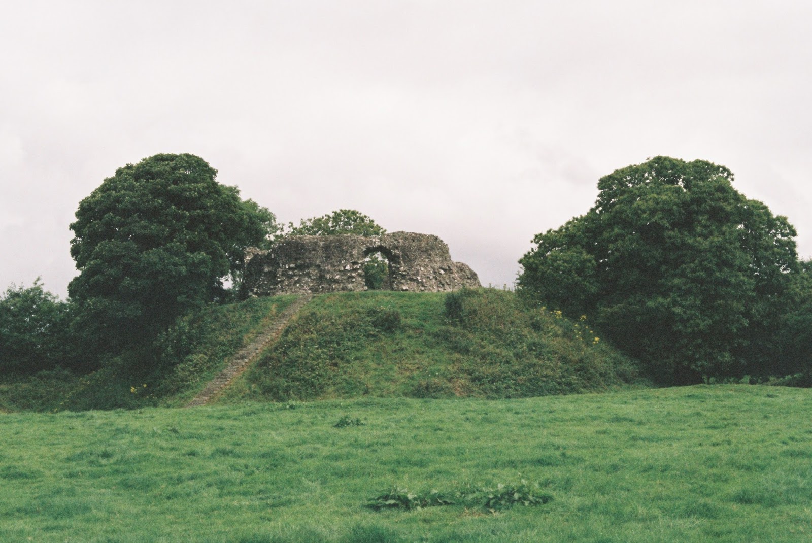 Life's Tapestry: Wizo the Fleming - Wiston Castle
