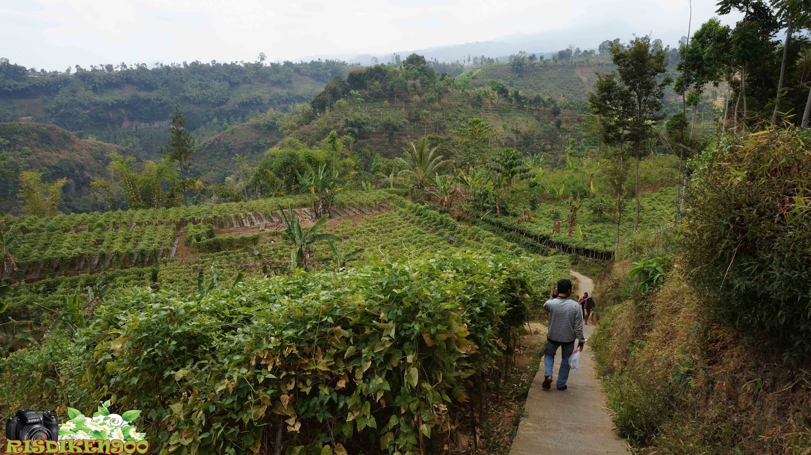 Perjalananku: Air terjun sumber 7 & ringin gantung tumpang - malang
