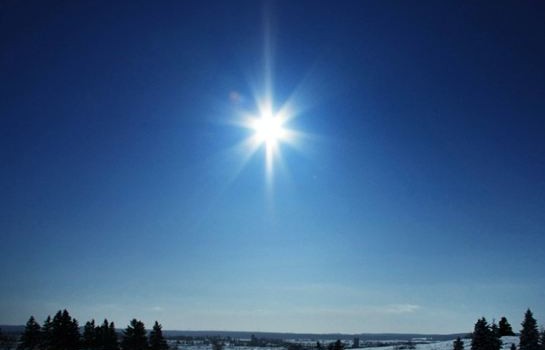 From the First Trees...a poetry blog: The Bright And Morning Star