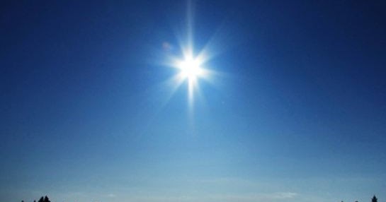 From the First Trees...a poetry blog: The Bright And Morning Star