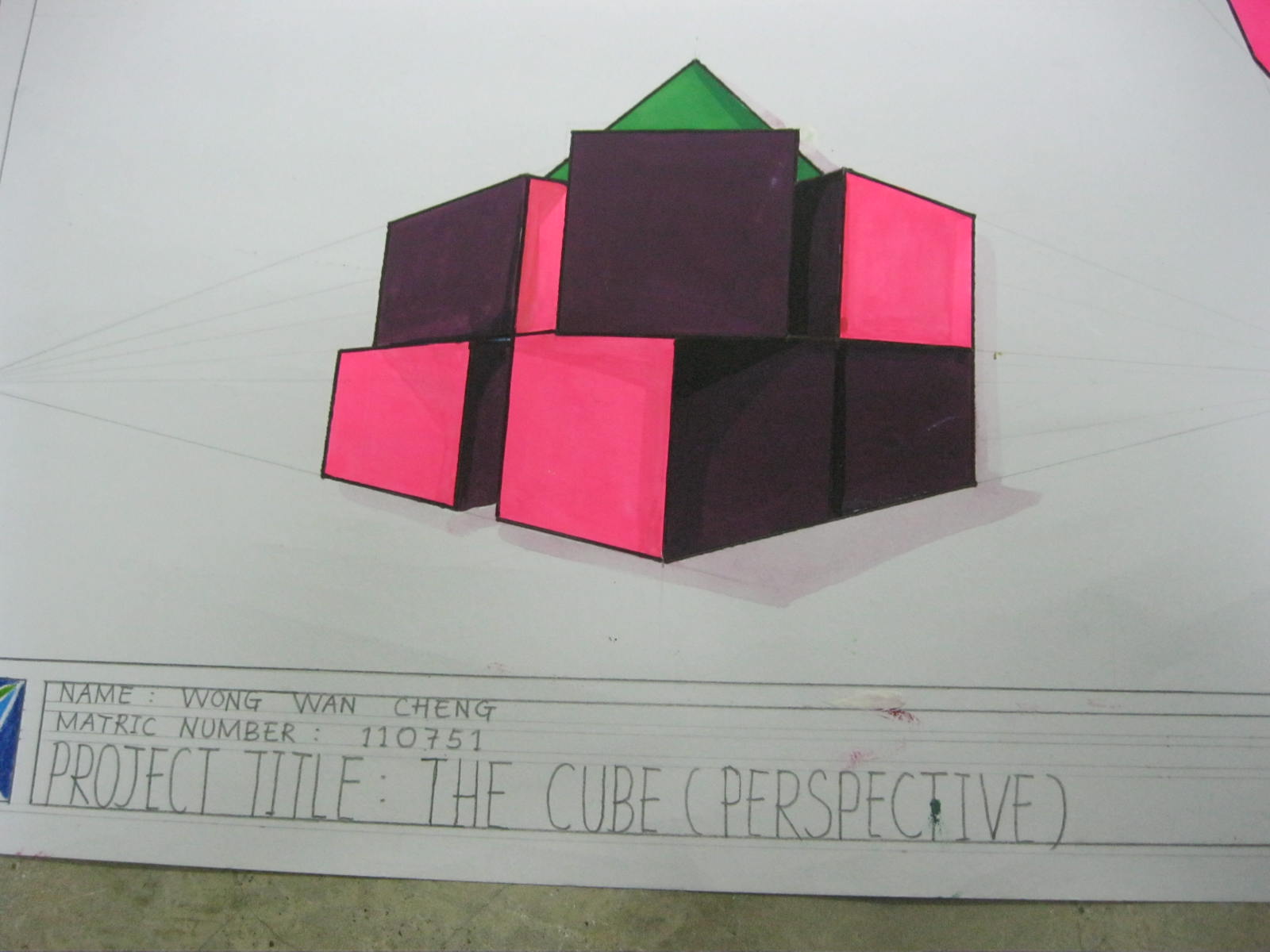 HBP projects: Project 3B: The Cube (Perspective)