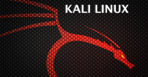 Kali Linux 第一版釋出：BackTrack 的改良版本 - G. T. Wang