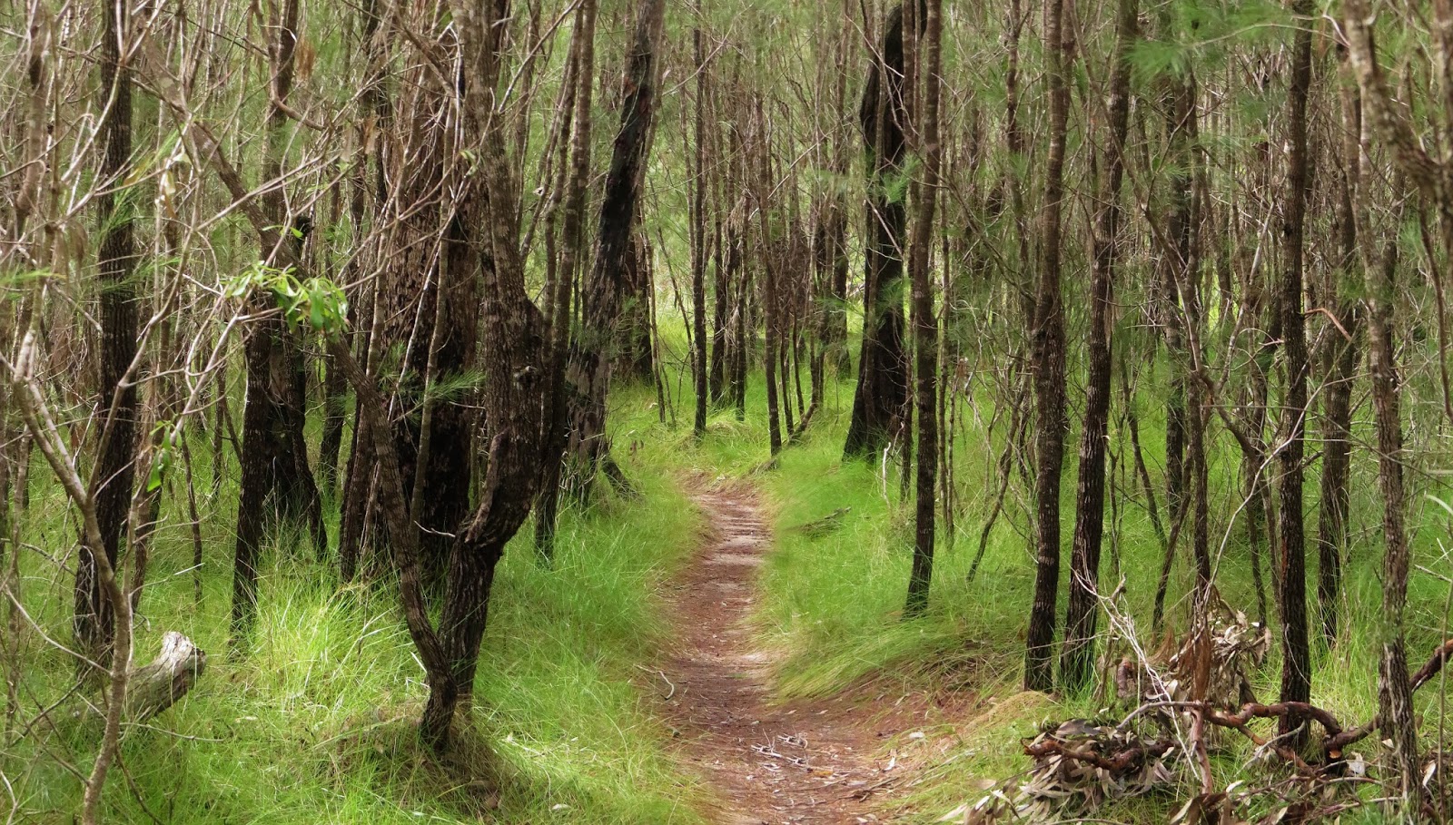 Suburb Guide: Alexandra Hills