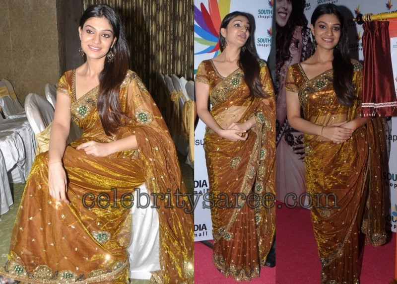 Siya Gautham in Velvet Work Brown Saree - Saree Blouse Patterns