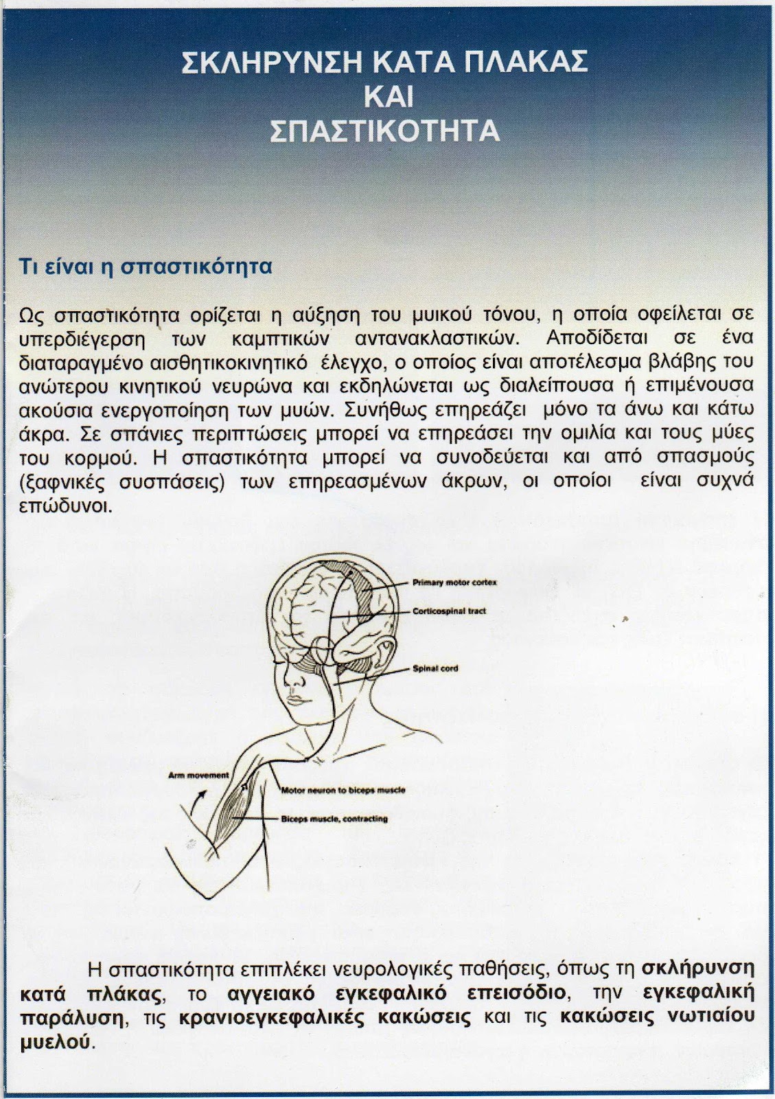 ΑΓΆΠΗ ΓΙΑ ΖΩH: ΣΚΛΗΡΥΝΣΗ ΚΑΤΑ ΠΛΑΚΑΣ ΚΑΙ ΣΠΑΣΤΙΚΟΤΗΤΑ