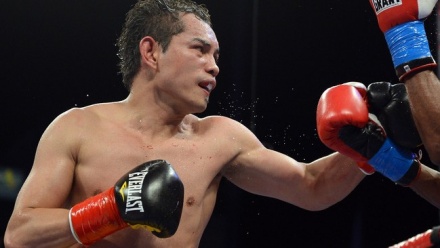 All About Sports: Nonito Donaire Profile, Pictures And Wallpapers
