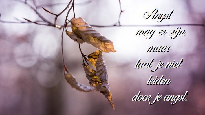 SpiegelGedachte: Doe het zo nodig angstig