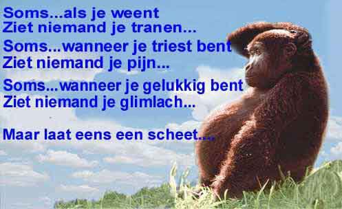 Grappige teksten: Grappige afbeeldingen