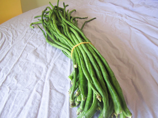 Savory And Savage: Dry sauteed string bean