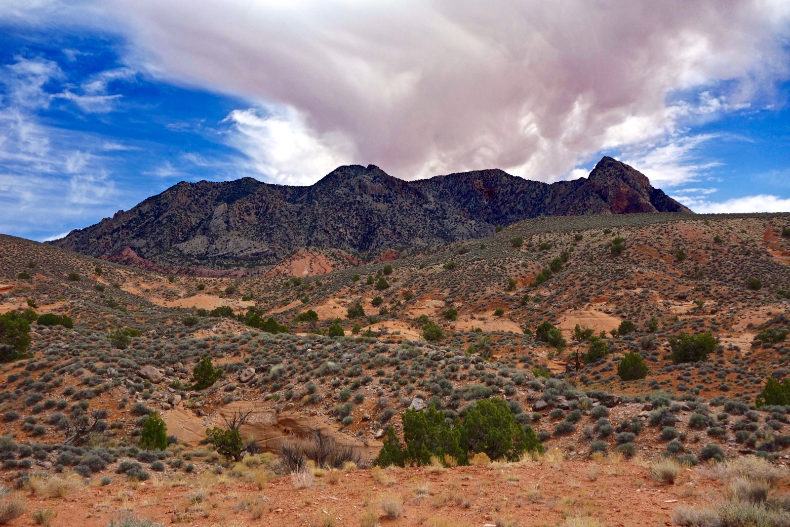 Earthline: The American West: Mount Ellsworth, 8,235', Little Rockies ...