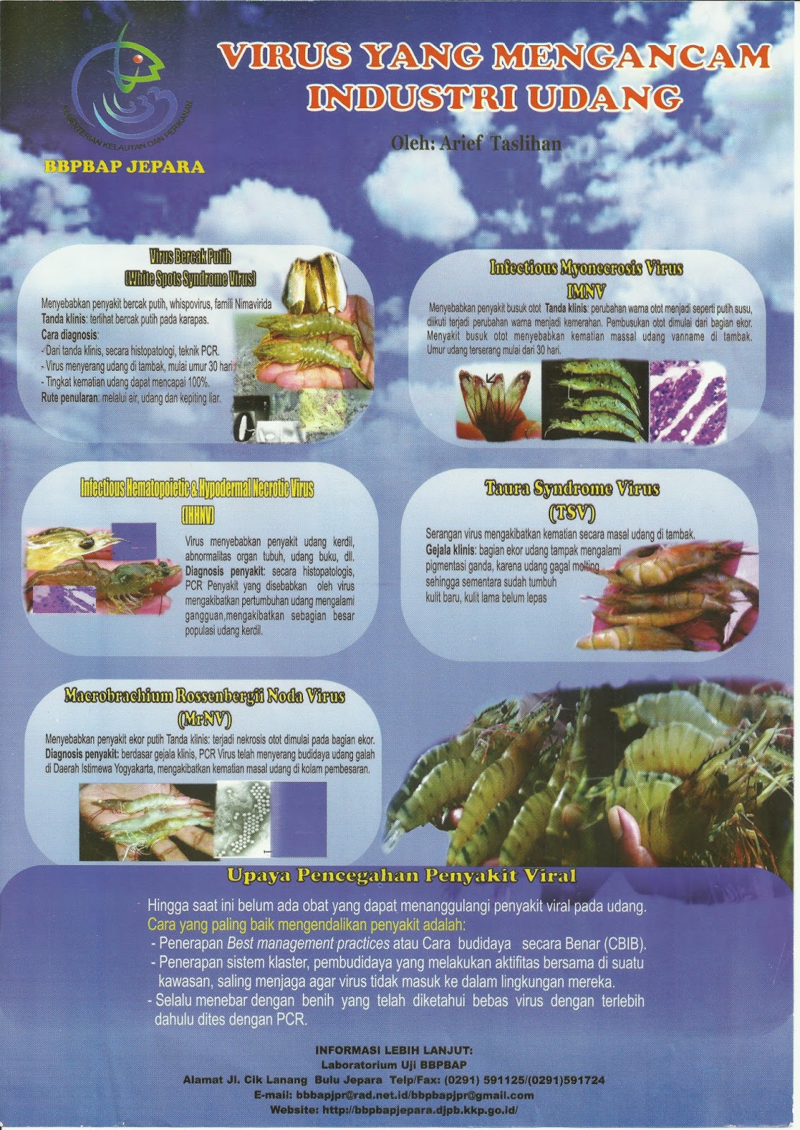 KOMUNITAS PENYULUH PERIKANAN: POSTER PENYULUHAN: VIRUS YANG MENGANCAM ...