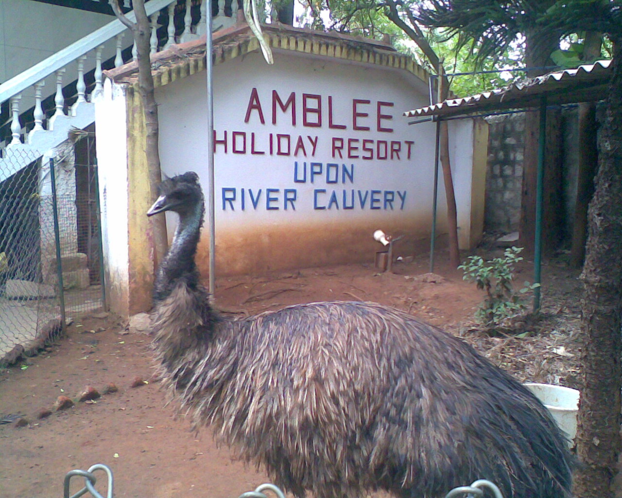 My Holiday Vacations since 20th August 2000: SriRangapatna - AMBLEE Resort