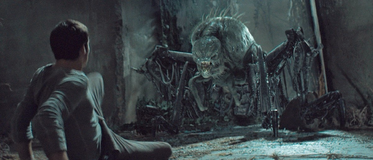 La III B di Argelato - 2014-2015: Maze Runner