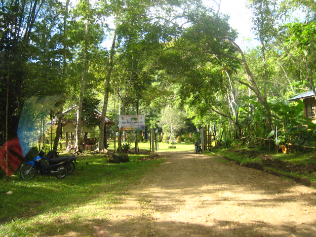 Bohol: Sikatuna Tree Park, Bohol