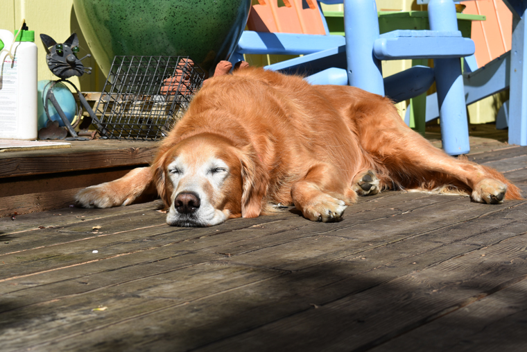 Running With Scissors...: The First of May