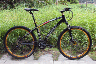 basikal..basikal..basikal..