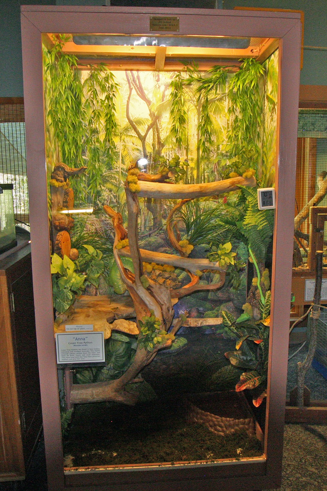 World Bird Sanctuary: Anna’s New Home