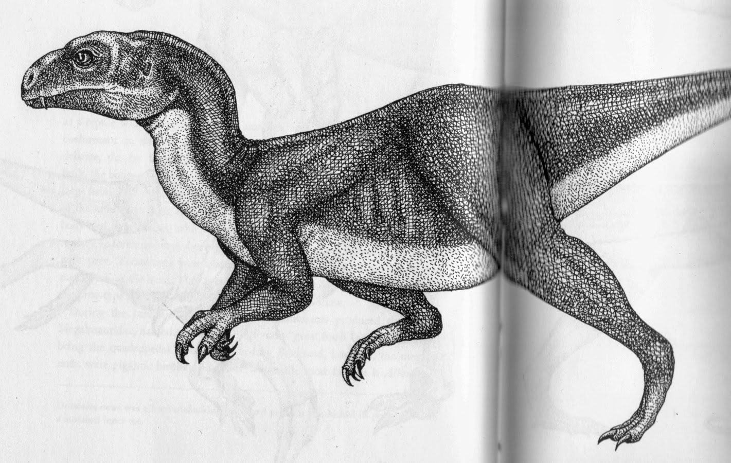 Love in the Time of Chasmosaurs: Vintage Dinosaur Art: Archosauria - Part 1