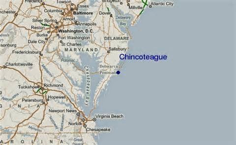 Critter Sitter's Blog: Where is Chincoteague?