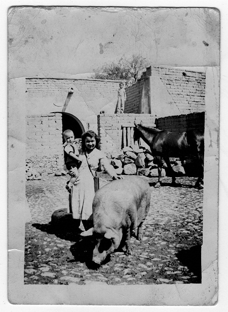 LA PAGINA DE MIGUEL: LA HERENCIA DE LA COCHINA