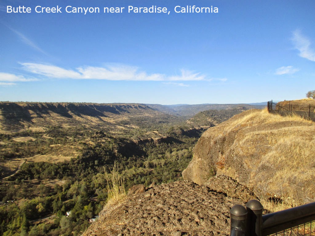 Trump is Anti-Choice. That's Q-CRAZY! Vote for Democrats in Every Race ...