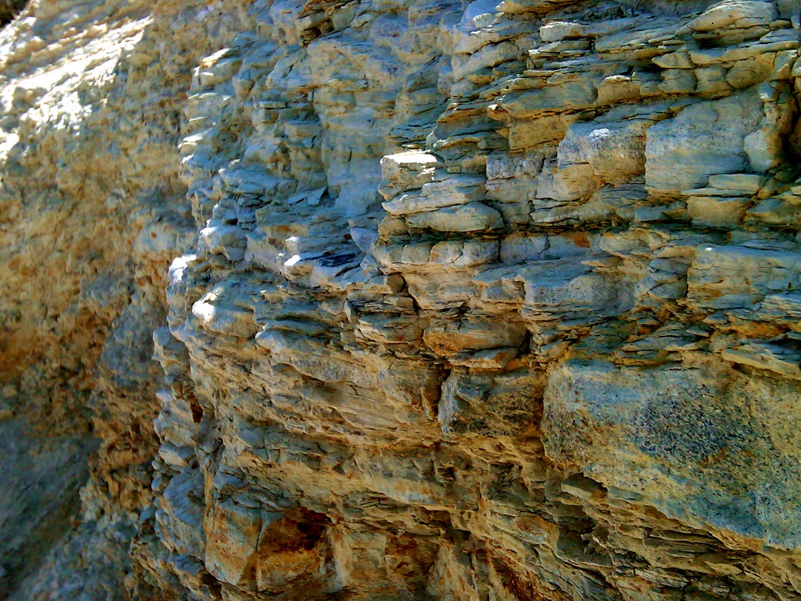 Once By the Pacific: Monterey Formation, As Seen At Crystal Cove