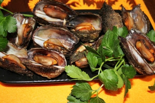 Cognitio Melphicta : Mussoli(Arca di Noè), ma che bontà