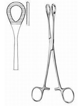 Gandhi Medical College: Surgical Instruments - Forceps