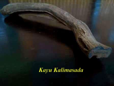 Kayu Kalimasada adalah pasangan dari Kayu Stigi dan Dewa Dharu. Ketiga ...