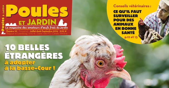 Poules et jardin