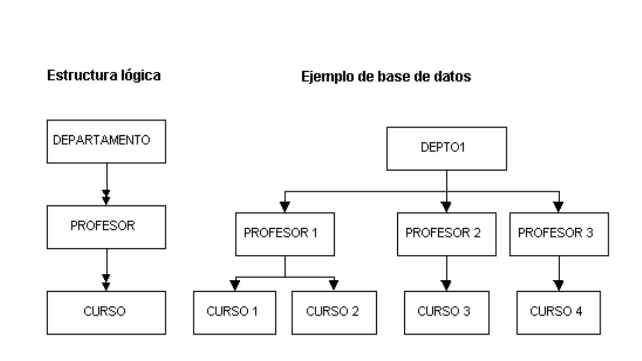 BASE DE DATOS: MODELO DE DATOS
