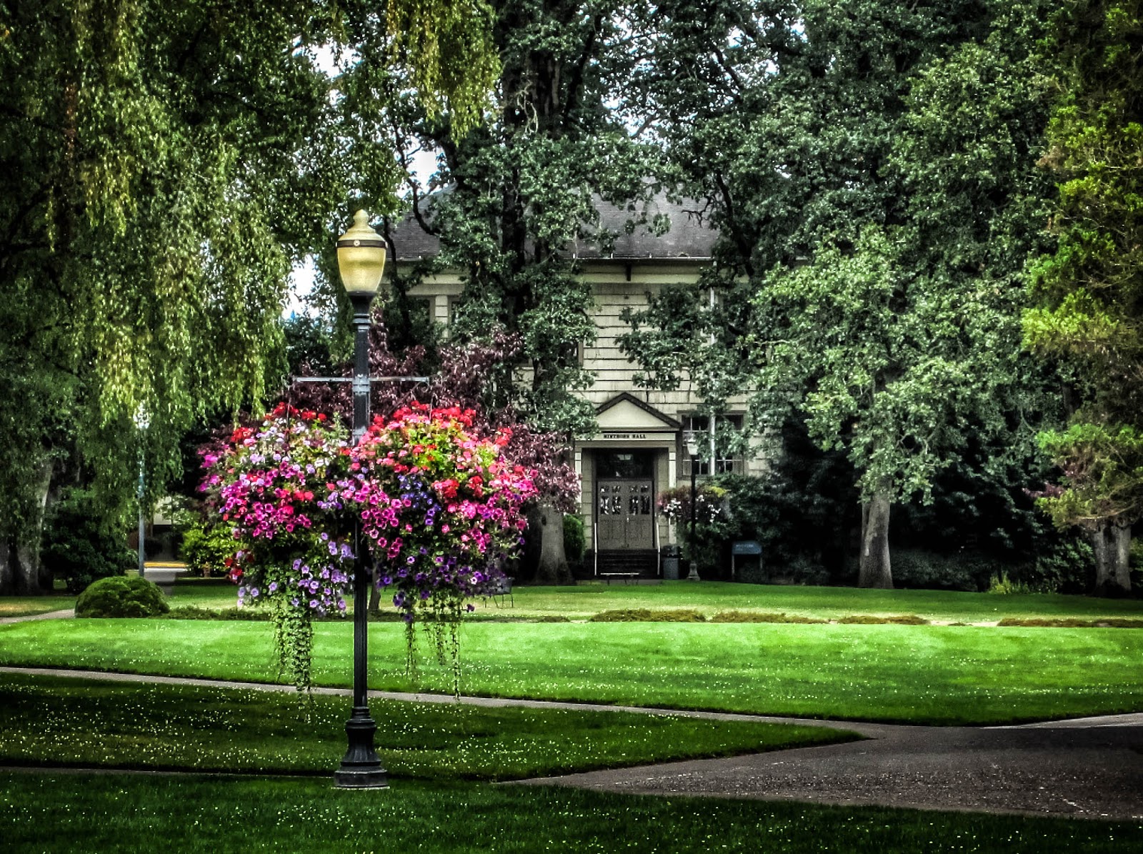 Thom Zehrfeld Photography : George Fox University