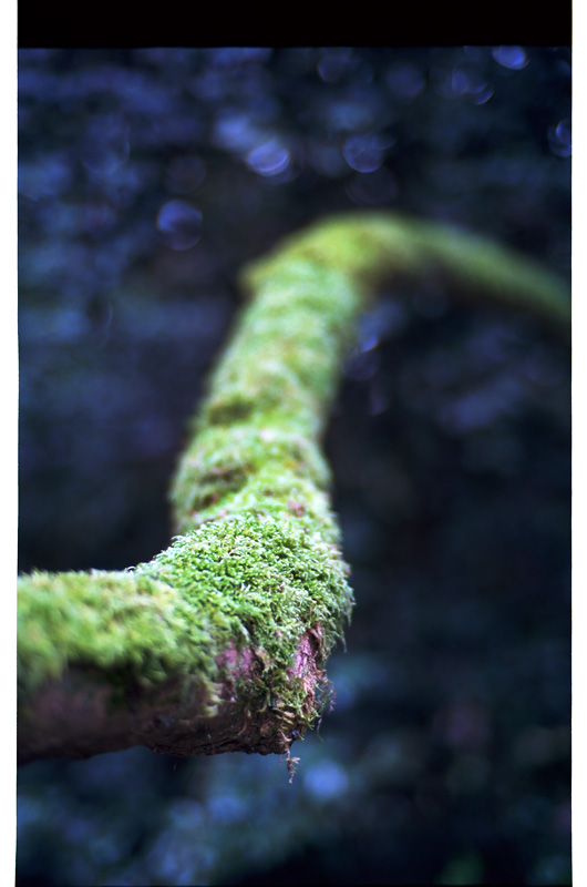 Guide to Extreme Shallow Depth of Field