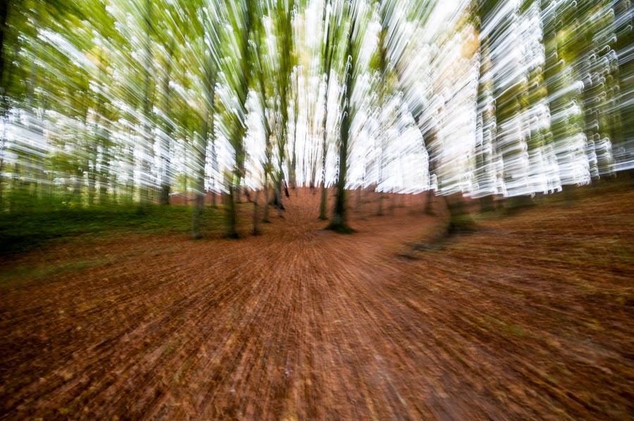 Obrazowo: Psychedelic Autumn Rythm