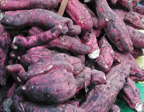 My Mexican Kitchen: October 2012